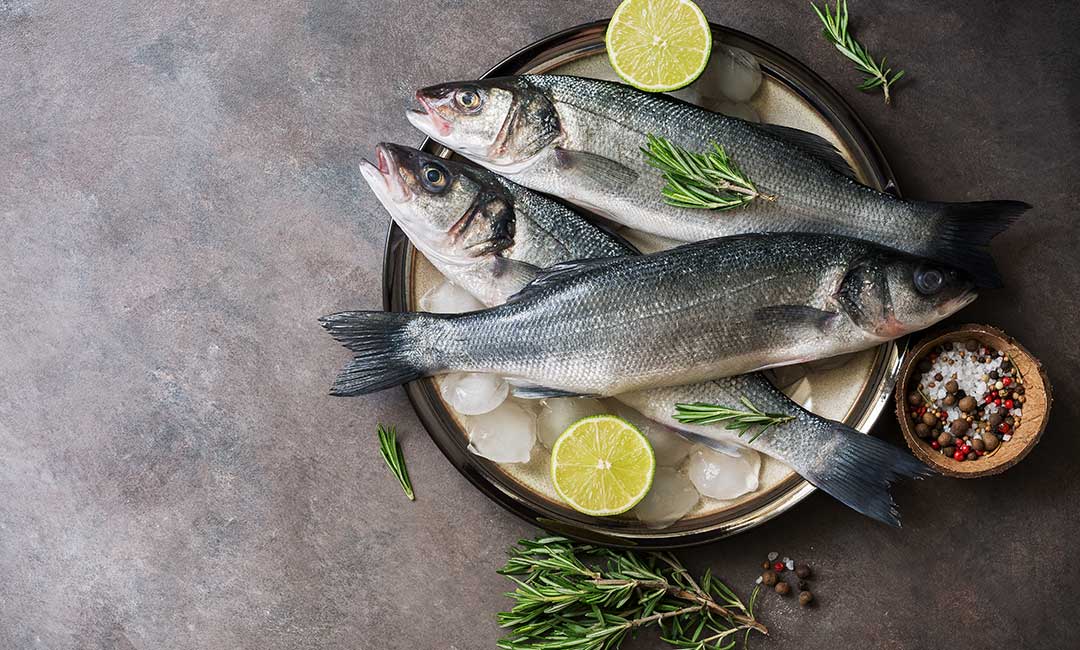 Λαβράκι - Panos Ioannidis